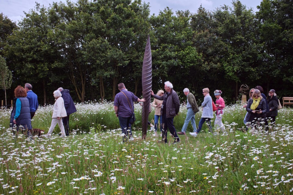 Celebrating 30 Years Of David Harber - David Harber US