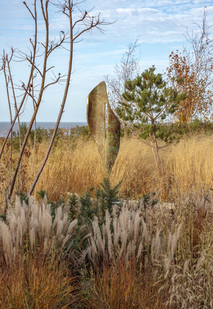 A Wild Approach To Landscape Design: A Quick Guide To Naturalistic ...