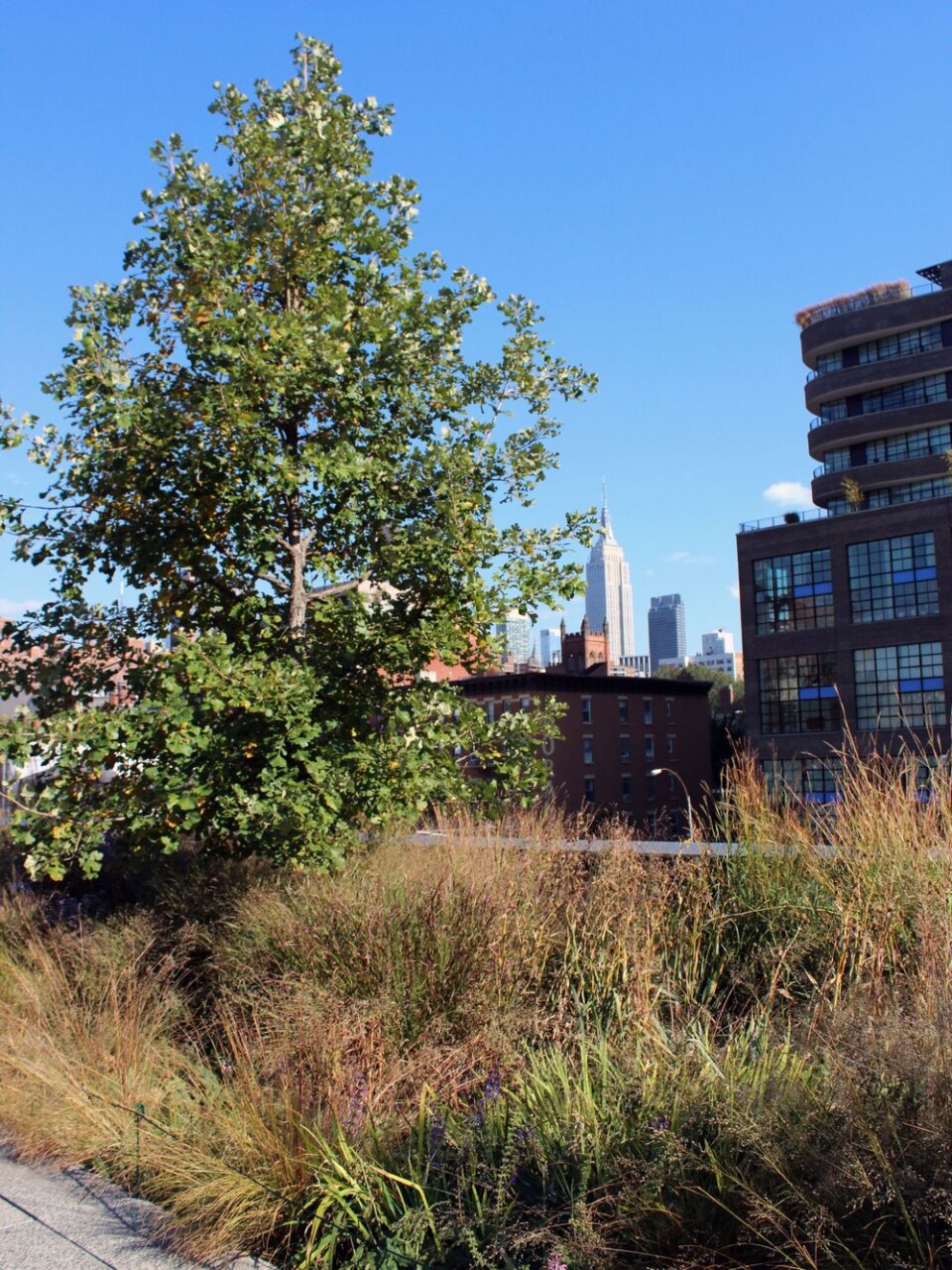 A Wild Approach To Landscape Design: A Quick Guide To Naturalistic ...