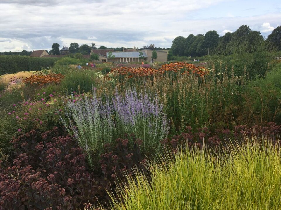 A Wild Approach To Landscape Design: A Quick Guide To Naturalistic ...