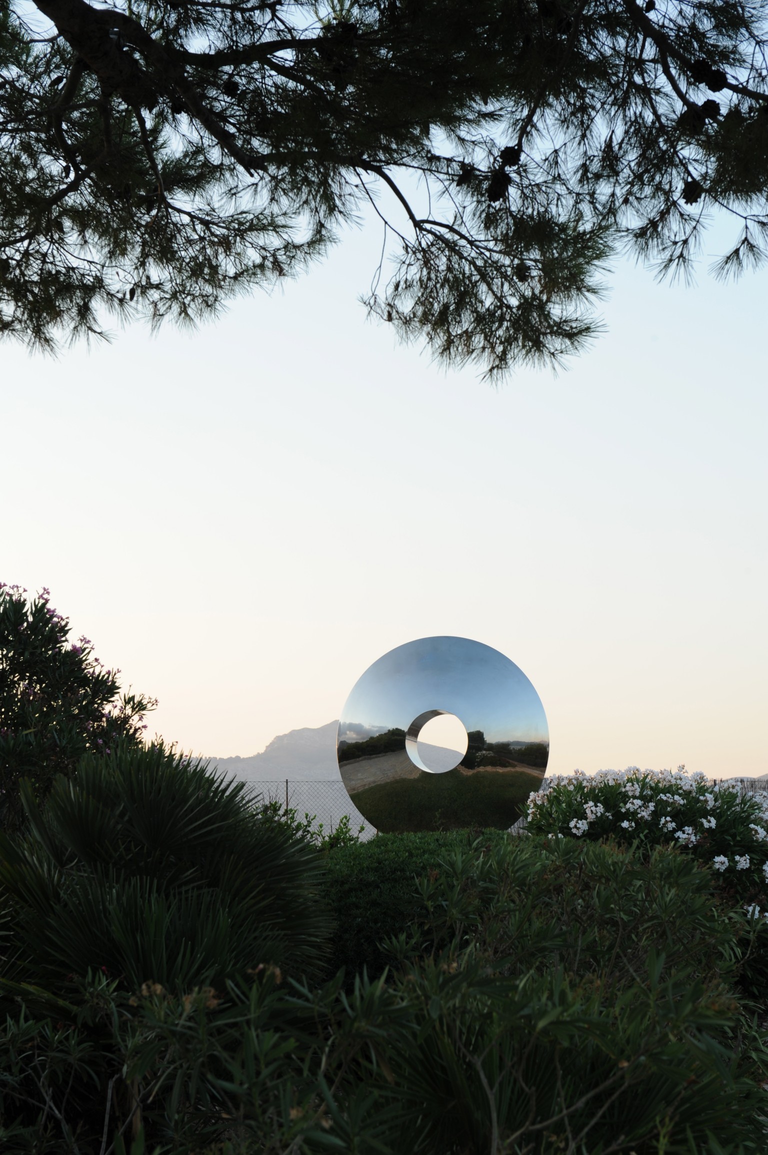 Stainless Steel Sculptures - David Harber US